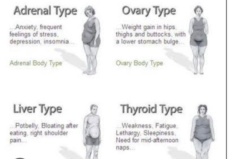 TYPES OF BODY SHAPES in Obesity: WHAT BELLY DO YOU HAVE? - TIMES OF ODISHA